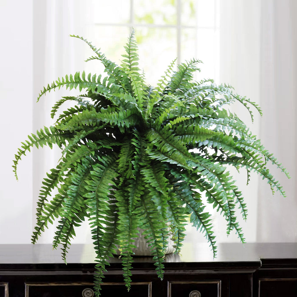 Morgan's Front Door Boston Ferns | Four 48" Ferns | Two 34" Ferns | Si ...